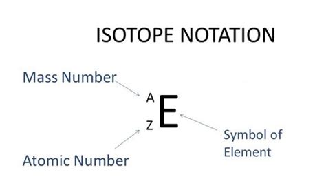 Isotopes Flashcards Quizlet