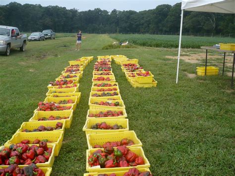 Rutgers Master Gardeners Rce Of Cumberland County