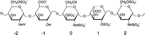 Structure Of Antithrombin Iii Pentasaccharide Binding Site The Central Download Scientific