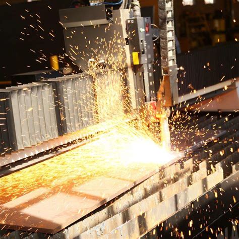 Kleine Geitjies 2018 Melanie Van Staden Photography