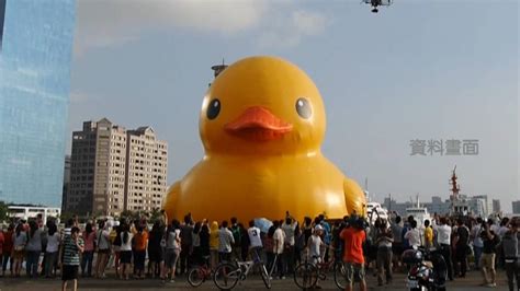 黃色小鴨睽違10年游回高雄！明年127 225愛河灣登場