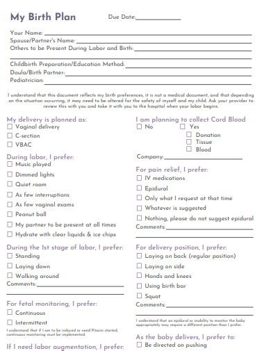 30 Birth Plan Examples To Download