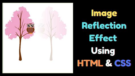 Add Image Reflection Effect Using Html And Css Youtube