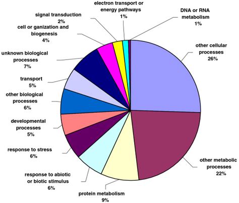 Pie Chart Representation Of Go Annotation Results From Field Pea Download Scientific Diagram