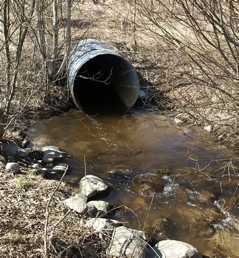 River Basin Water Quality Monitoring Station Specsens