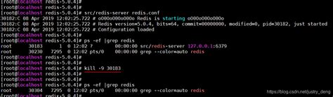 Redis服务端客户端的启动、关闭、查看状态怎么开启服务端程序 Csdn博客