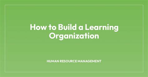 How To Build A Learning Organization • Slm Self Learning Material For Mba