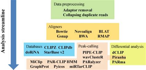 Summary Of The Analysis Software Pipelines And Databases For Clip Seq Download Scientific
