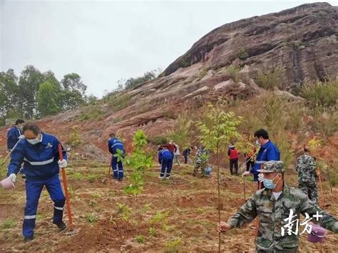 植树添新绿，清城龙塘组织开展义务植树活动龙塘镇文明生态