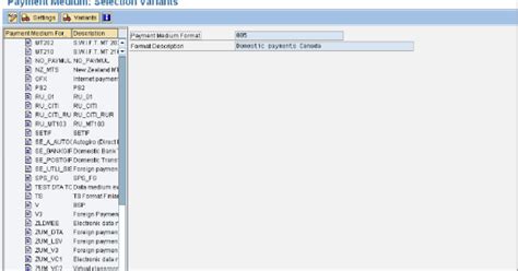 Sap Fico Central Dmee Configurationstep By Step Part 2