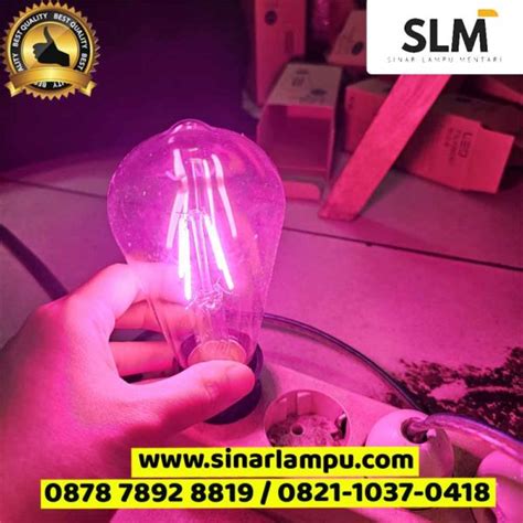 Lampu Hias Dekorasi Filamen ST64 LED 4 Watt Cahaya Pink Sinar Lampu