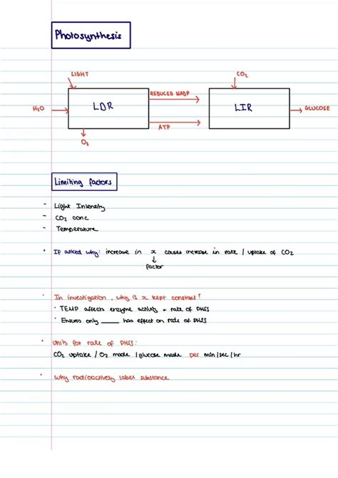 Summary Topic 5 Energy Transfers Aqa A Level Biology Unit 5