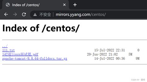 2022Nginx目录索引模块ngx autoindex module 阿里云开发者社区