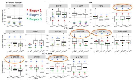 Digital Spatial Pathology Nanostring Geomx