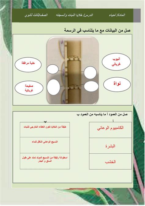 ورقة تفاعلية Free Worksheet Live Worksheets