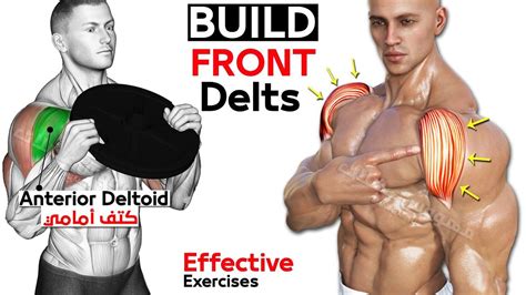 How To Grow Your Front Delts 6 Key Exercises Delts Deltoids Exercise
