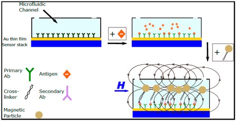 Recent Advances In Magnetic Microfluidic Biosensors