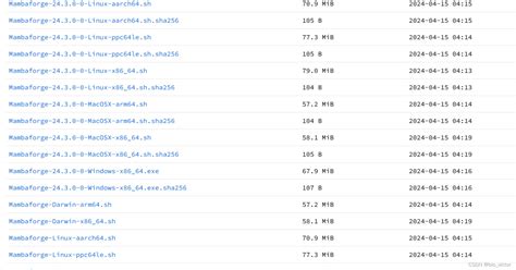 告别condaminiforge 2430 Python 版本 Csdn博客