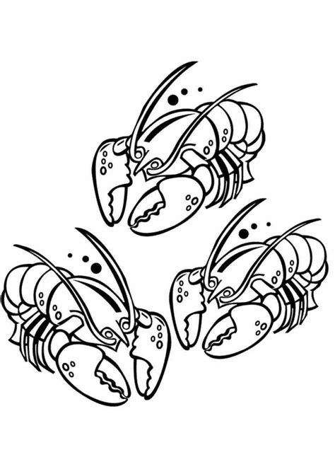 Рак Разукрашки Для Детей 66 фото