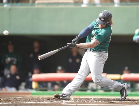 【wbc】豪州代表が日本で始動「70％の仕上がり」元中日ニルソン監督 Wヘッダーで練習試合 Wbc2023写真ニュース 日刊スポーツ
