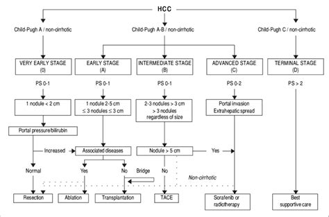 The Proposed Bern Clinic Liver Cancer Beclc Algorithm For The