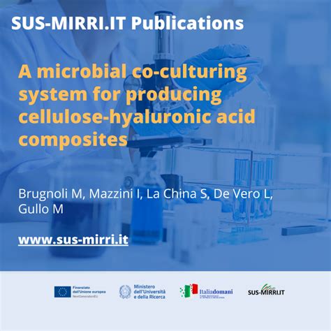 A Microbial Co Culturing System For Producing Cellulose Hyaluronic Acid