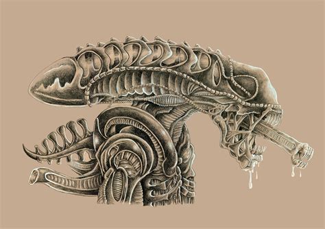 [oc] Xenomorph By Me Black And White Coloursoft Pencil With White