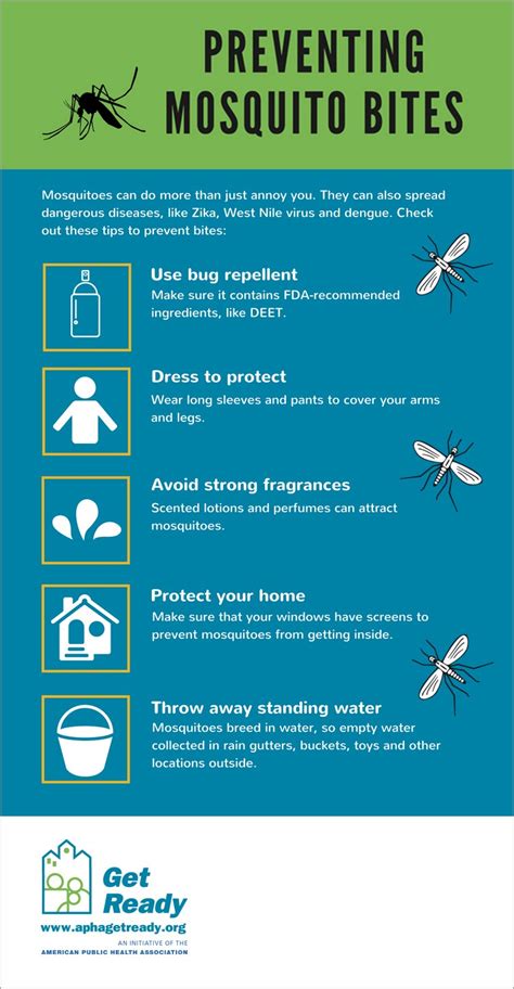 Preventing Mosquito Bites Infographic Infographics