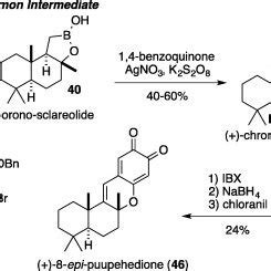 Schematic Explanation Of Linear Convergent And Divergent Synthesis Download Scientific Diagram