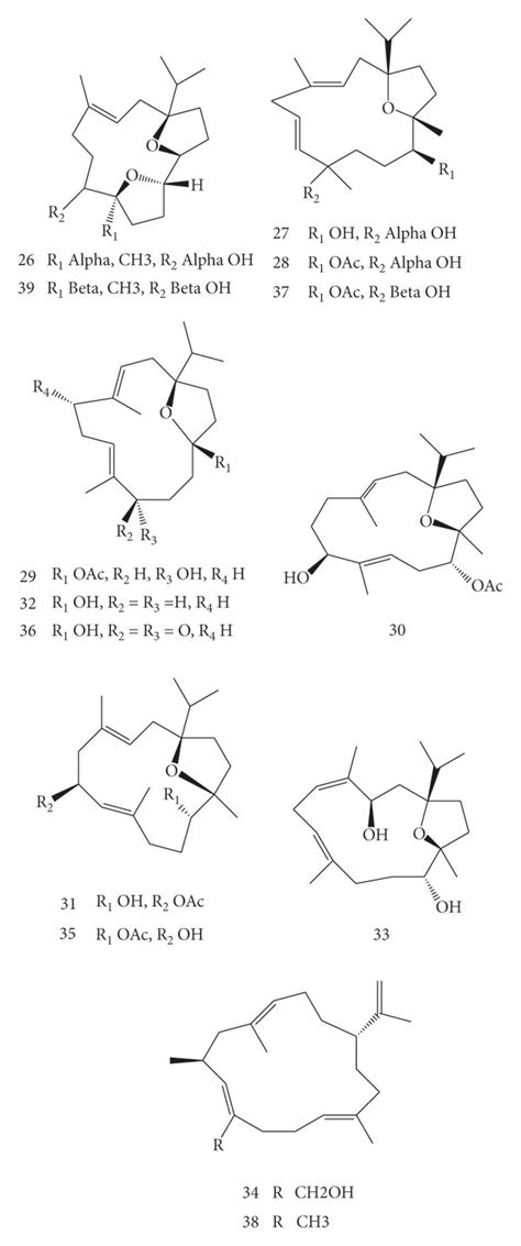Structure Of Isolated Diterpenoids From B Sacra Download Scientific