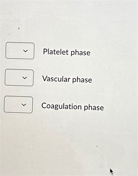 Solved Platelet Phasevascular Phasecoagulation Phase