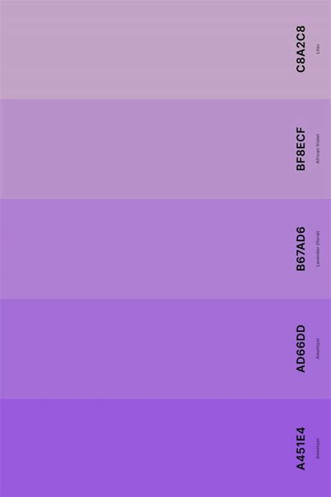 25 Best Violet Color Palettes With Names And Hex Codes In 2024