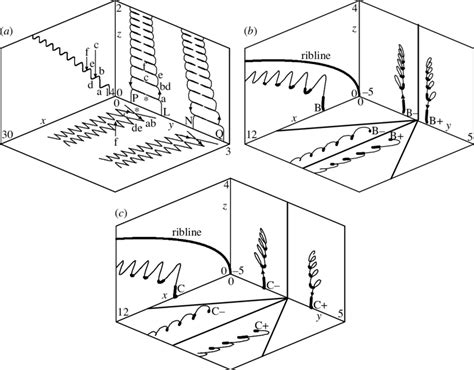 A C Selected Helical Dislocation Tracks Projected On To The Faces Of
