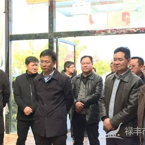 州政协到我市调研现代农业产业及绿色装备制造产业发展情况 禄丰 云南 进行