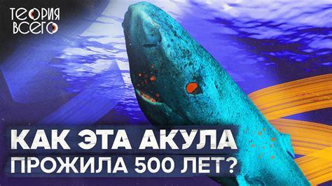 Топ 5 самых долгоживущих существ Почти бессмертные Чудеса природы