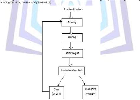 Figure 1 From A Review Of Feature Reduction In Intrusion Detection