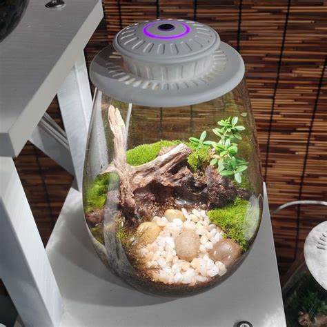 【master 水族】ufo 微景觀燈 補光燈 苔藓燈 生態瓶燈 植物生長燈 透氣通風設計 蝦皮購物
