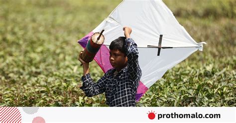 চা বাগানের শিশুদের ঘুড়ি ওড়ানো প্রথম আলো