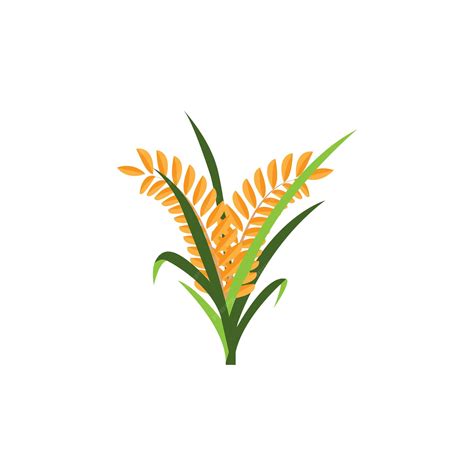 Premium Vector Paddy Icon