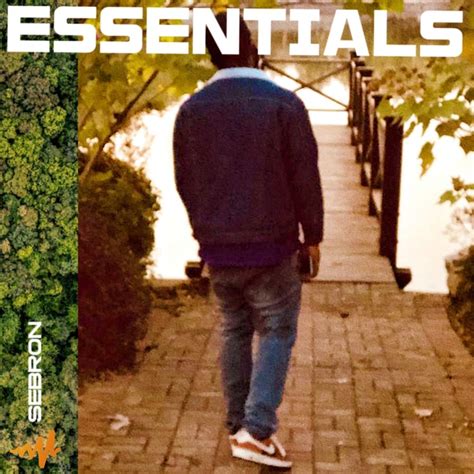 Sebron Essentials A Playlist By Sebron On Audiomack
