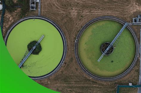 Eel Biofuels Harnesses Algae As Biofuel Feedstock Biofuels