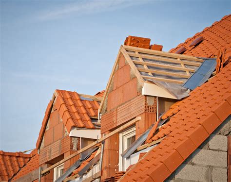 Adoptez Le Chien Assis Pour Une Toiture Moderne