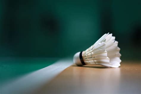 6 Year Old New Jersey Girl Dies From Badminton Racquet Accident In