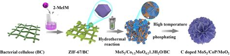 A Novel C Doped Mos2copmoo2 Ternary Heterostructure Nanoflower For Hydrogen Evolution Reaction
