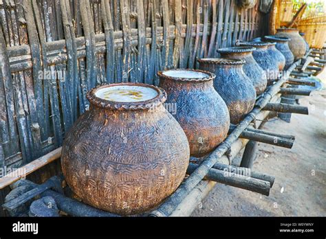 The Process Of Palm Sap Fermentation In Large Clay Jars To Produce Toddy Palm Wine And Brandy In
