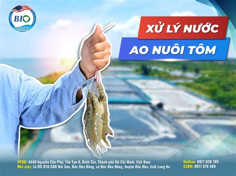 QUY TRÌNH XỬ LÝ NƯỚC AO NUÔI TÔM TRƯỚC KHI THẢ NUÔI TÔM NHƯ THẾ NÀO BIOTECH INTERNATIONAL