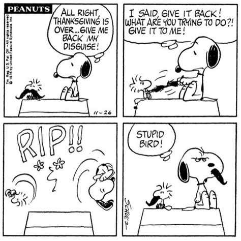 10 Funniest Peanuts Comics Where Snoopy Loses His Cool
