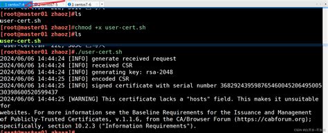 【kubernetes】k8s集群安全机制rbac 保姆级攻略哦kb集群认证方式有几种 Csdn博客