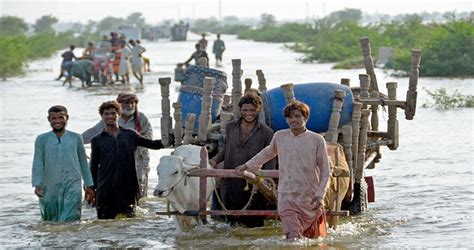 Tens Of Millions Battle Pakistan Floods As Death Toll Rises To 1136