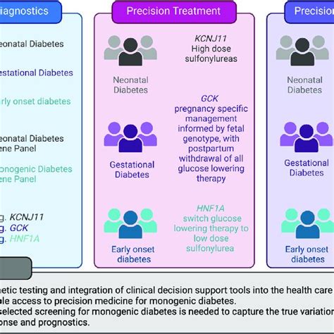 Schematic Overview Of How Precision Diagnostics Leads To Precision
